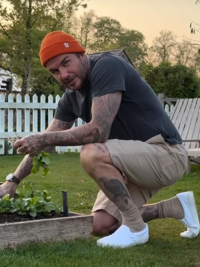 Momen David Beckham Pamer Hasil Kebun dan Pelihara Ayam di Belakang Rumah