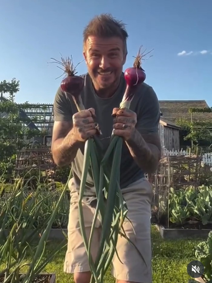 David Beckham Gak Cuma Urus Kebun, Ternak Ayam, Lebah, tapi Juga Bikin Kue