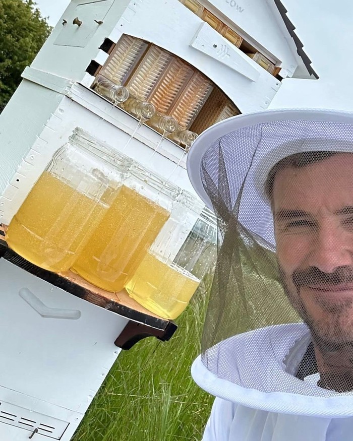 Potret David Beckham yang Hobi Berkebun hingga Ketika Ternak Ayam