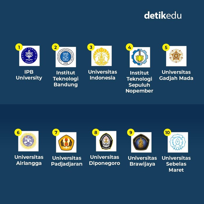 Infografis: 20 Kampus Terbaik RI dalam Riset Lintas Disiplin Versi THE 2026