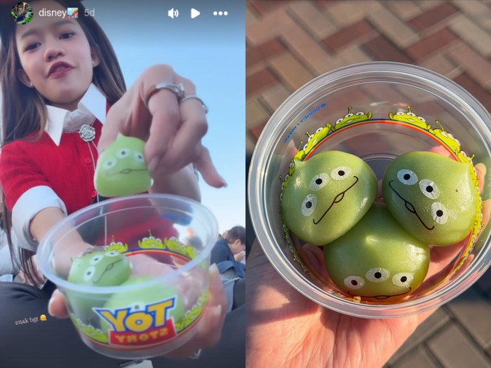 Ummi Quary Liburan ke Jepang, Kulineran di Ginza hingga Disneyland