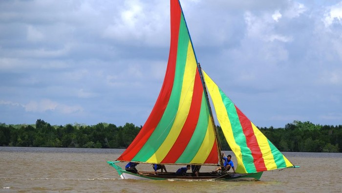 Adu Cepat Sampan Layar Warnai Perairan Meranti