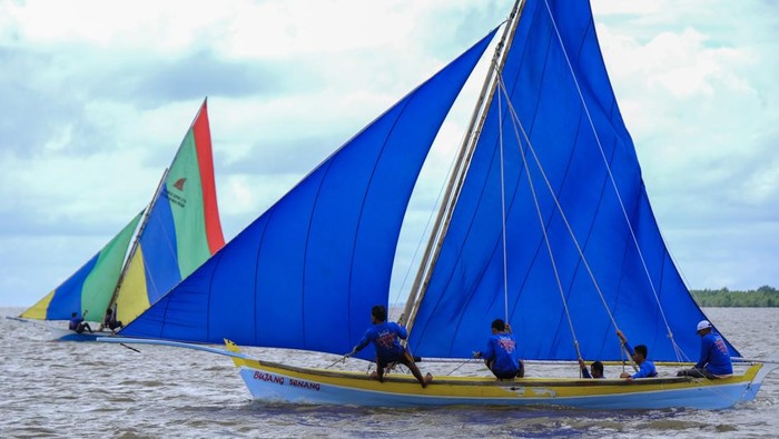 Adu Cepat Sampan Layar Warnai Perairan Meranti