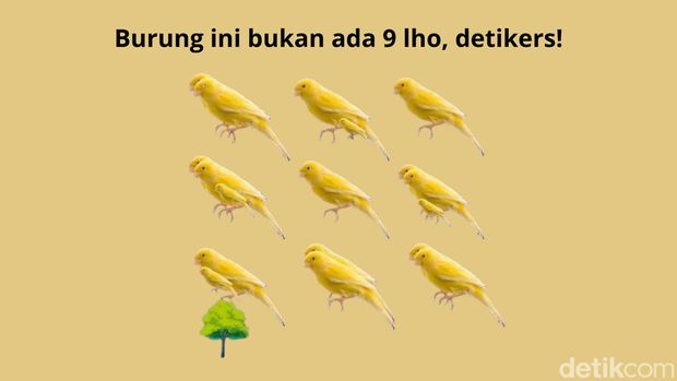 Kejelian Mata Diuji! Hitung Berapa Banyak Hewan di Gambar Ini dengan Cepat