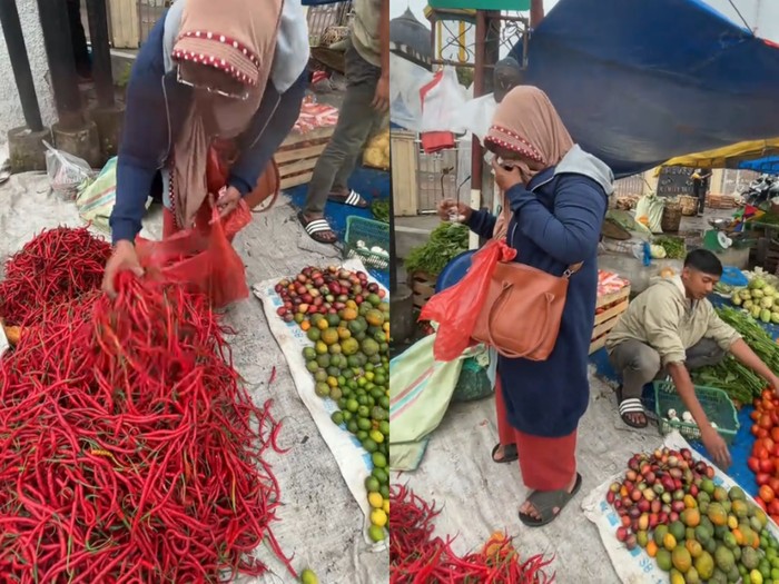 Borong Cabe Takengon Terus Berlanjut, 10 Ton Tiba di Jakarta