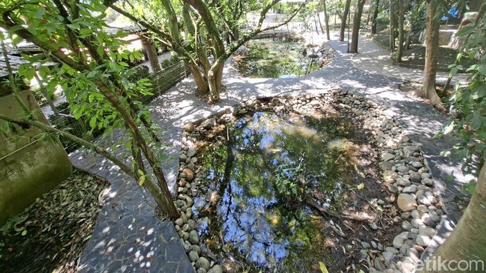 Liburan Murah Meriah di Hutan Kota Babakan Siliwangi Bandung