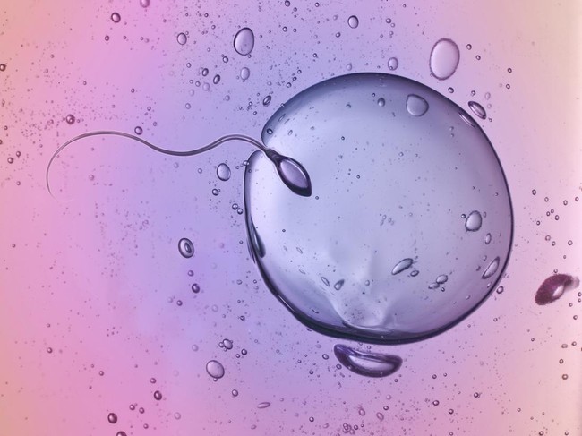 Haid Bukan Sekadar Darah, Ini 4 Fase Siklus Menstruasi yang Perlu Dipahami