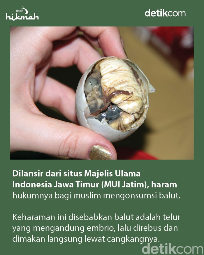 Hukum Memakan Balut bagi Muslim
