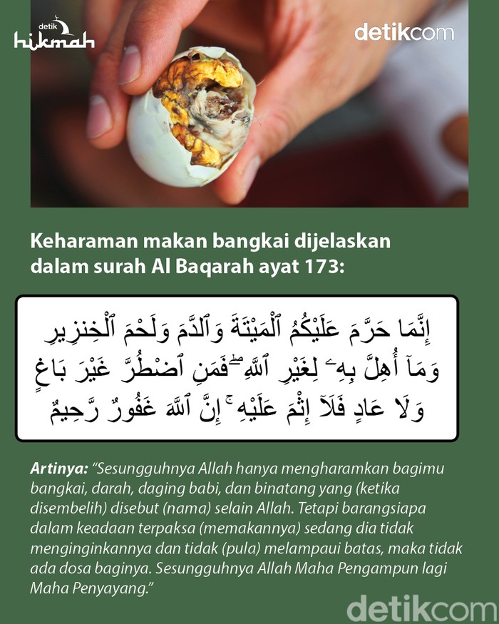 Hukum Memakan Balut bagi Muslim