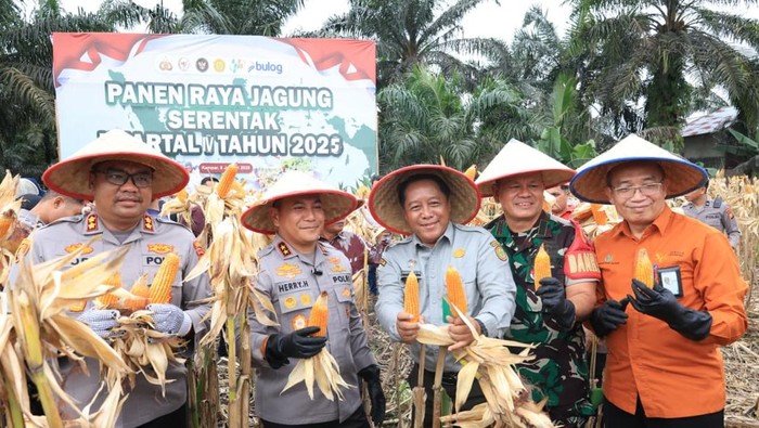 Dukung Kedaulatan Pangan, Polda Riau Panen 100 Ton Jagung dari 36 Ha Lahan