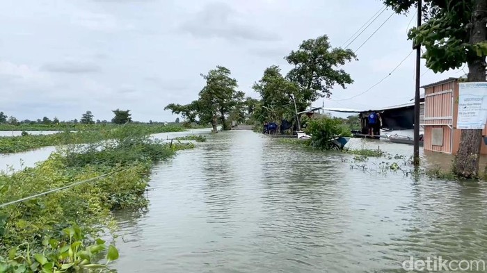 Banjir Luapan Bengawan Jero Lamongan Belum Surut