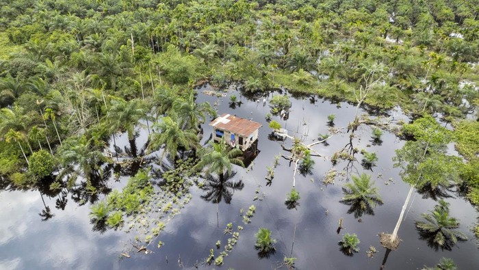 Foto Udara Luapan Sungai Dendang Rendam Desa Jati Mulyo Jambi