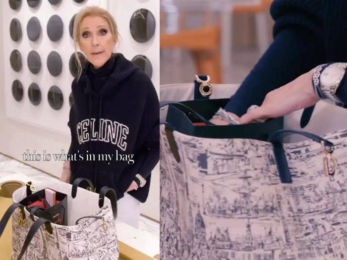 Kocaknya Celine Dion Bongkar Isi Tas, Ada Mikrofon sampai Makanan Anjing