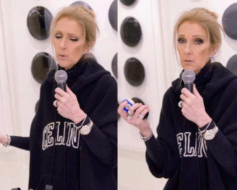 Kocaknya Celine Dion Bongkar Isi Tas, Ada Mikrofon sampai Makanan Anjing