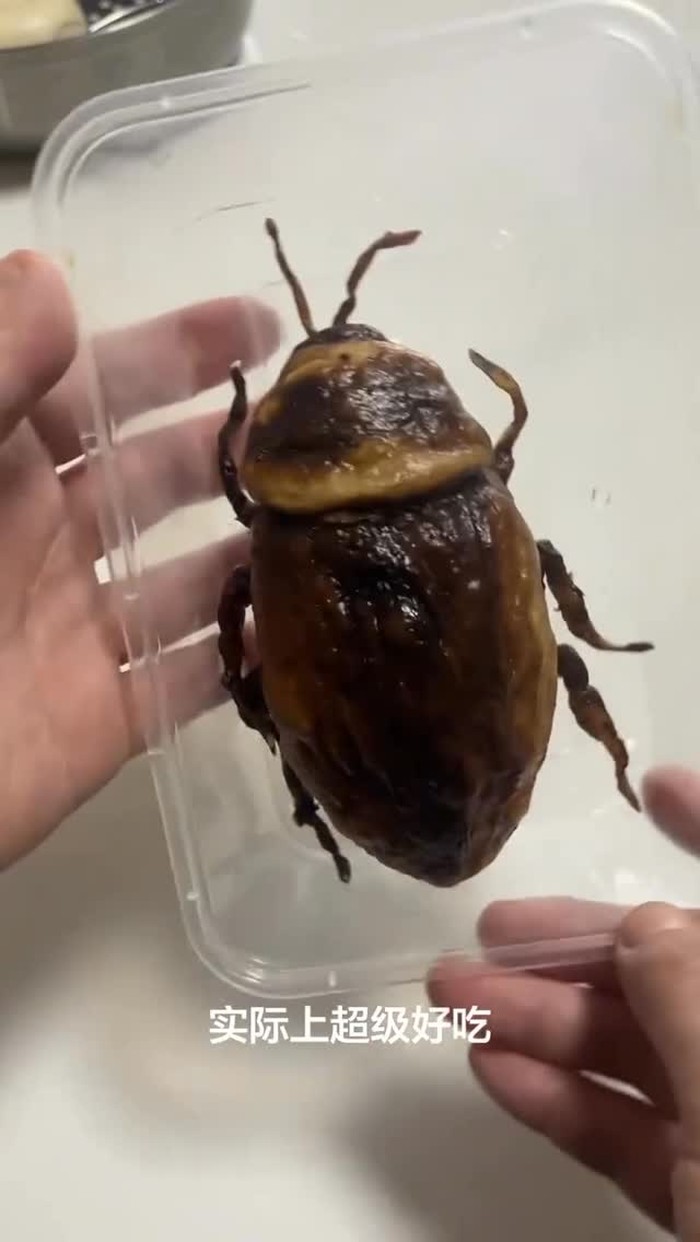 Bikin Bergidik! Roti Kukus Buruk Rupa Bentuk Babi hingga Kecoak