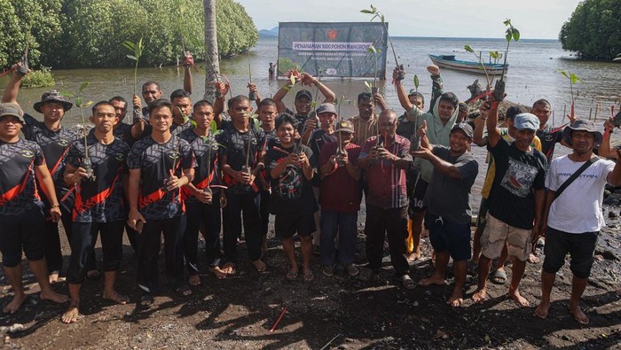 Penanaman Mangrove untuk Jaga Pesisir Ternate dari Abrasi