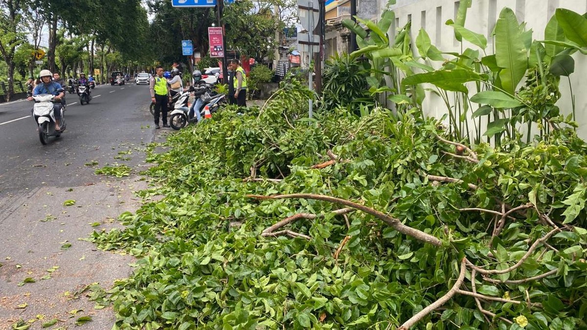 Dua Motor-Satu Mobil Tertimpa Dahan Pohon gegara Angin Kencang di Kuta