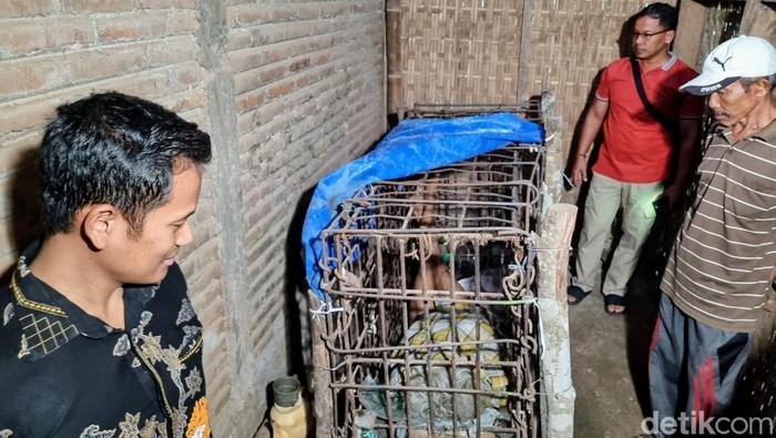 Viral ODGJ di Ponorogo Dipasung Keluarganya Selama 20 Tahun