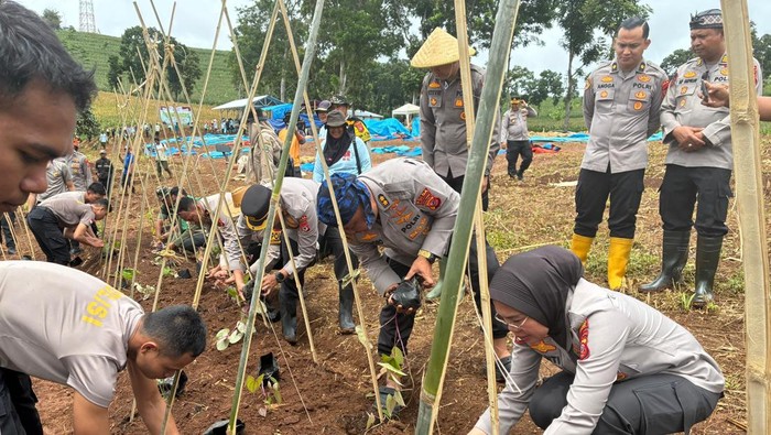 'Senjata Andalan' Polda Jabar Wujudkan Ketahanan Pangan