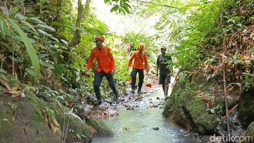 Lansia yang Hilang Saat Cari Kayu Bakar 2 Hari Lalu Ditemukan Selamat