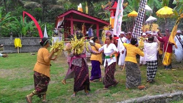 7 Pilihan Wisata di Desa Kiluan Negeri Lampung, Bisa Lihat Lumba-lumba