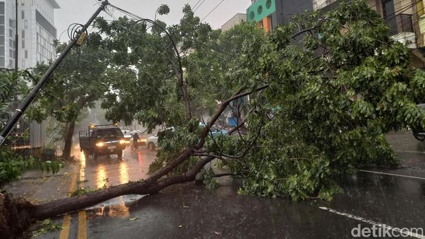 Macet di Surabaya Dampak Pohon Tumbang Saat Hujan Angin