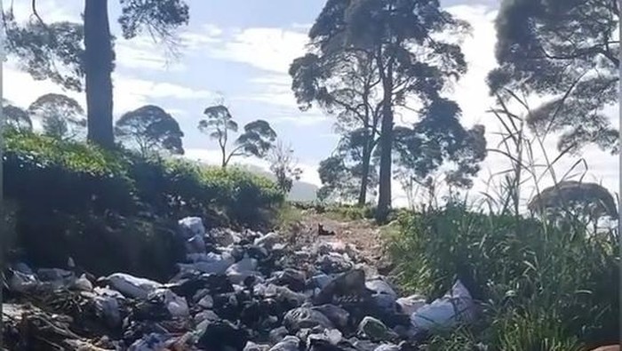Tumpukan Sampah Kotori Kebun Teh Pangalengan Bandung