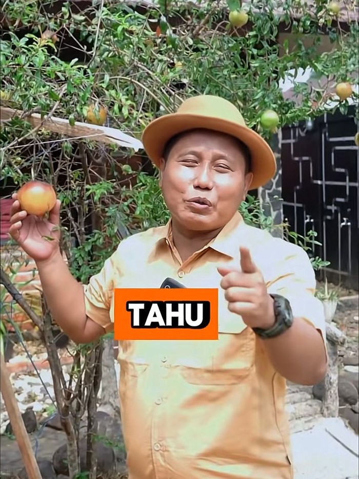Narji Kini Jadi Juragan Lahan, Jago Tanam Kangkung hingga Melon Manis!