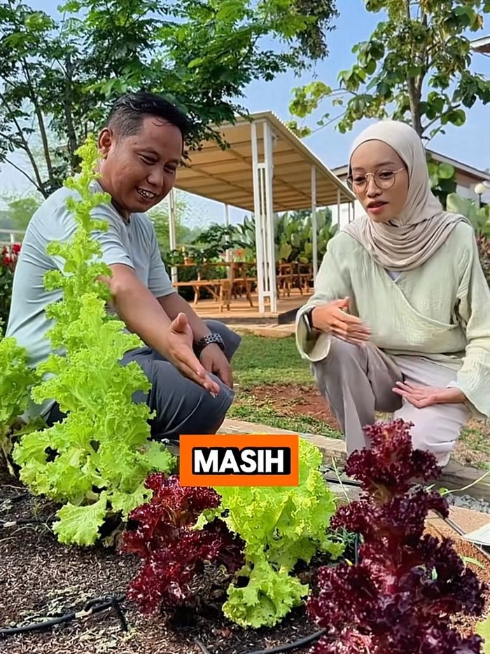 Narji Kini Jadi Juragan Lahan, Jago Tanam Kangkung hingga Melon Manis!