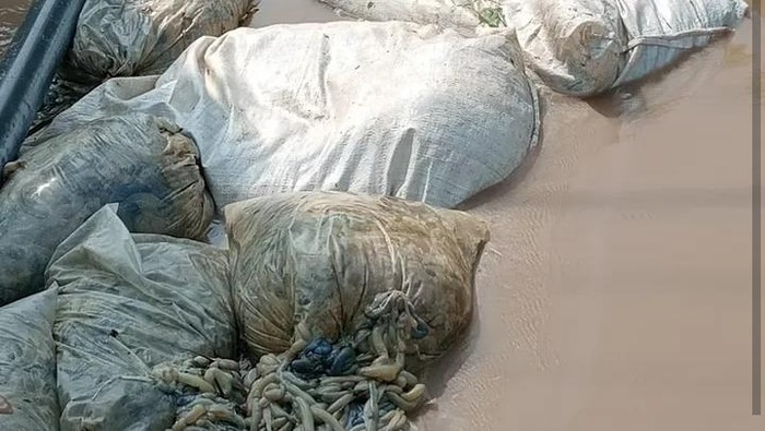 Bikin Bau! Tumpukan Karung Isi Usus Hewan Sumbat Sungai di Pemalang