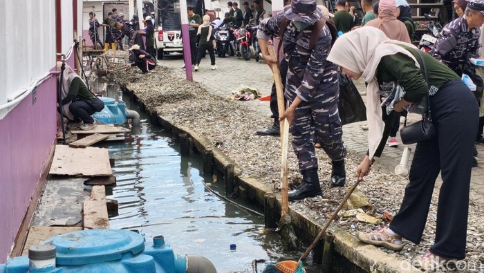 Hari Bumi, CT Arsa-Koarmada RI Tanam Mangrove dan Bersih-bersih di ...