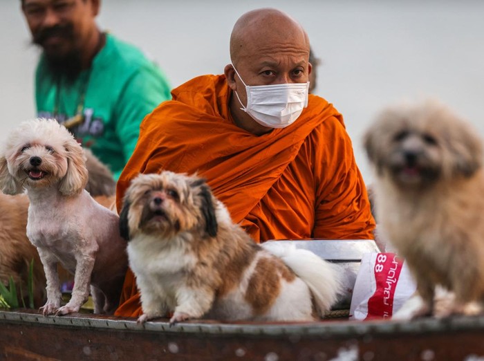 Biksu dan Anjing Kuil Susuri Sungai Chao Phraya