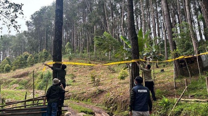 Pengusaha Babat 1,3 Ha Hutan Bone Sejak 2020, Pernah Diusir Warga tapi ...