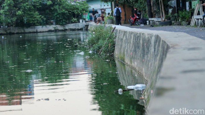 Situ Pladen Depok Kotor dan Tak Terawat, Warga Prihatin