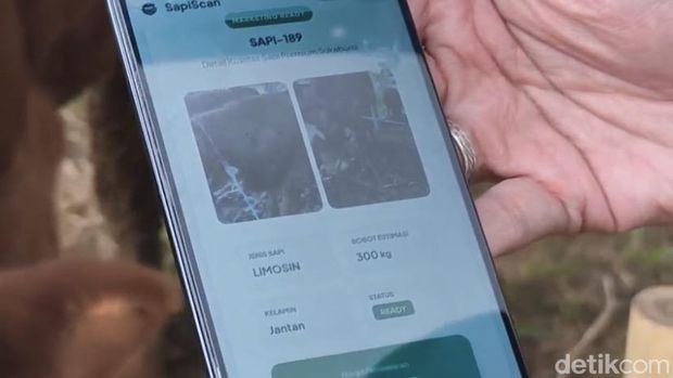 Tak Lagi Ribet, Penjual Hewan Kurban di Sukabumi Pakai Teknologi AI