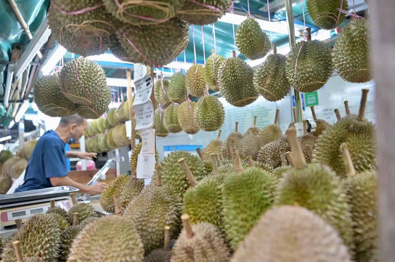 Di Penang Kini Ada Wisata Durian, Bisa Makan Musang King Sepuasnya!
