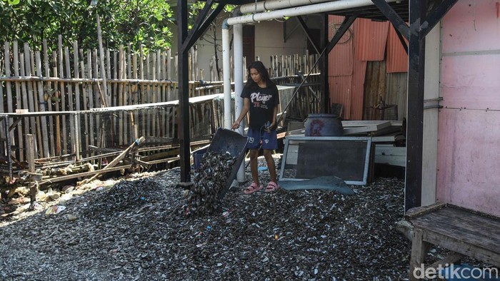 Limbah Kerang dan Fasilitas Rusak Warnai Kehidupan Kampung Apung Muara ...