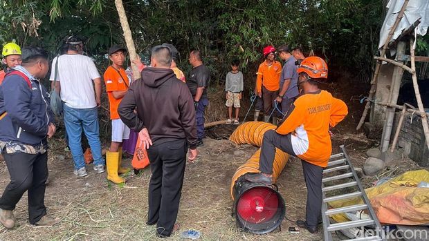Pyok! Sapi Kurban Nyemplung Septic Tank di Mojokerto, Damkar Turun Tangan