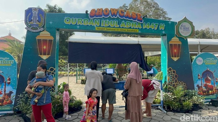 Potret Sapi Kurban Presiden Prabowo Subianto di Masjid Al Akbar Surabaya