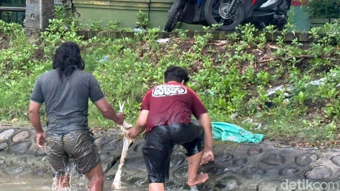 DLH Kota Surabaya Sidak Warga Cuci Rumen di Sungai