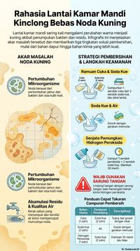 Lantai Kamar Mandi Muncul Noda Kuning? Bersihkan Pakai 3 Bahan Ajaib Ini