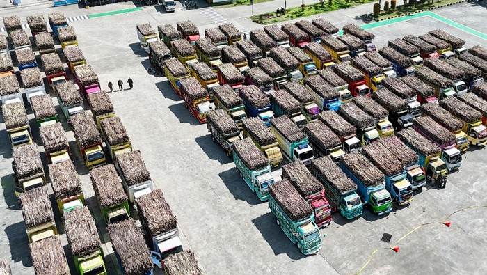 Jatim Targetkan Sumbang 51 Persen Produksi Gula Nasional