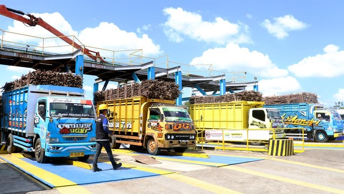 Jatim Targetkan Sumbang 51 Persen Produksi Gula Nasional
