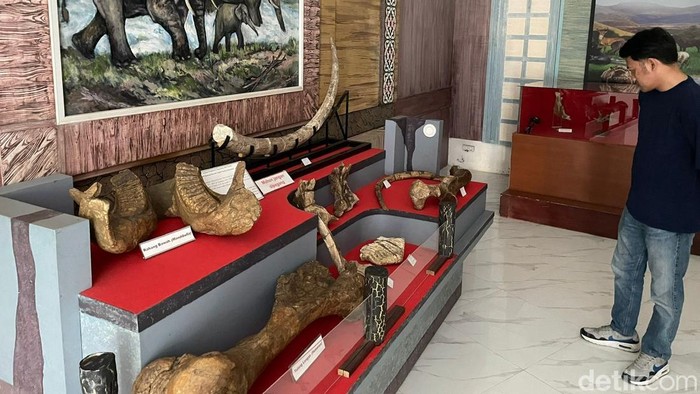 Mengenang Selat Muria di Museum Situs Purbakala Patiayam Kudus