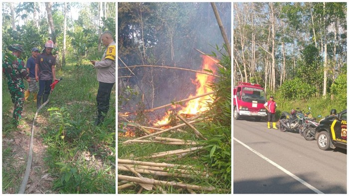 Damkar Lubuklinggau Ingatkan Karhutla Sasar Semak Belukar Pinggir Jalan