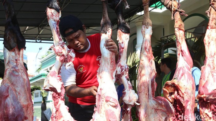 Ditemukan Cacing Pita pada Daging Kurban di 20 Lokasi Surabaya