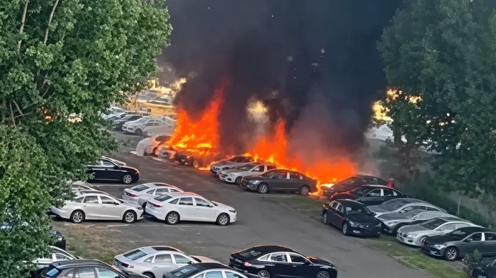 Niat Bersihkan Sampah Pohon Pakai Api, Berujung 20 Mobil Terbakar di ...