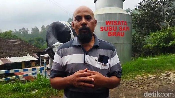 Harga Susu Sapi Perah Naik, Peternak di Kota Batu Full Senyum