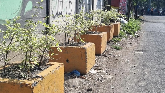DLH Surabaya Pasang Pot Bunga untuk Basmi TPS Liar