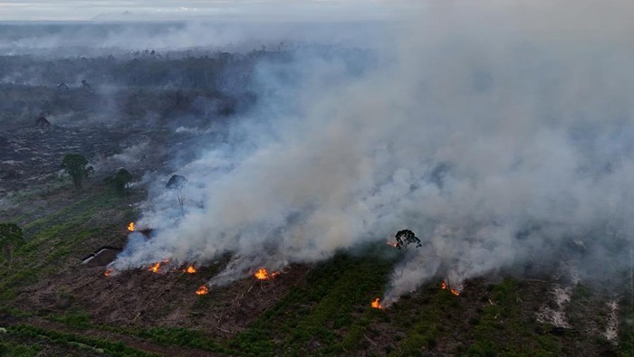 Karhutla di Nagan Raya Meluas, 90 Hektare Lahan Gambut Terbakar